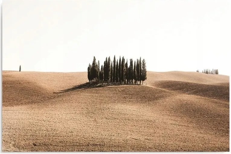 Foto-Obraz úrovně-y Plátno Canvas Toscana 70x50