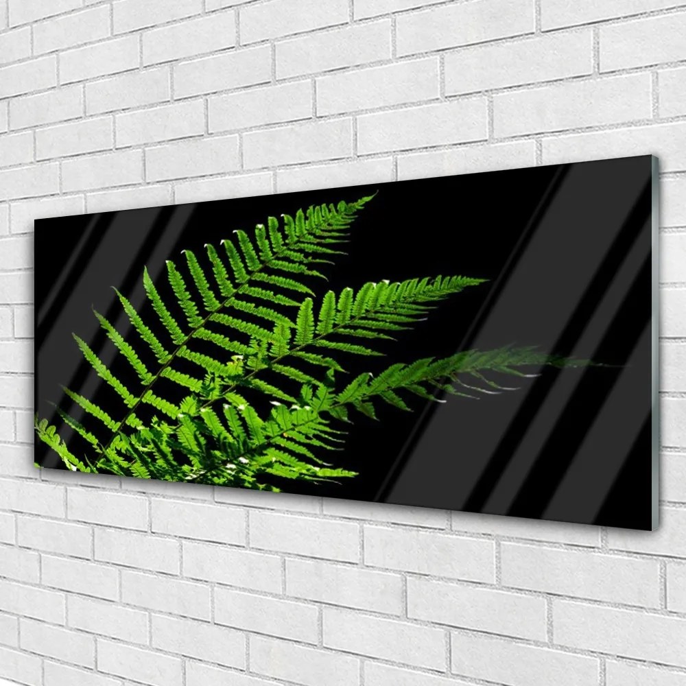 Plexisklo-obraz Osladič Kapradí Listy 125x50 cm