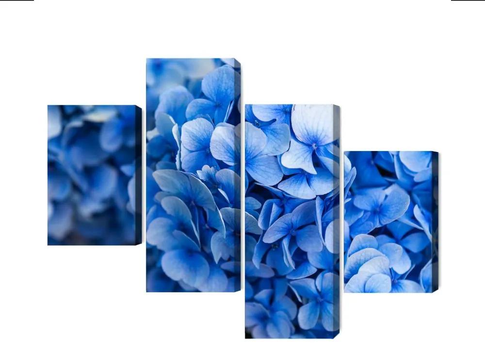Vícedílný obraz Modré Květy Hortenzie Zblízka Nedostatek Nedostatek Plátno Canvas 80x50