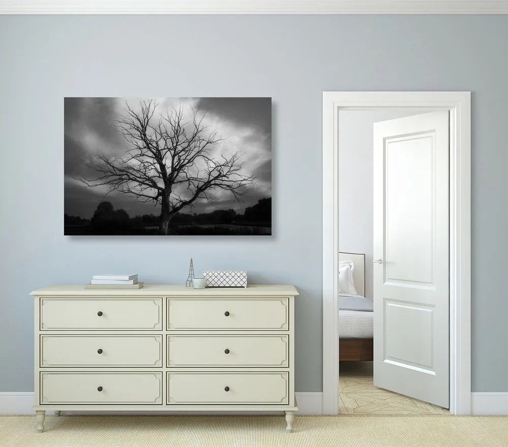 Obraz černobílý strom na louce - 90x60 cm