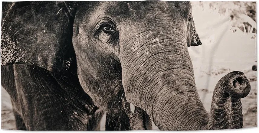 Sablio Ručník Slon - 30x50 cm