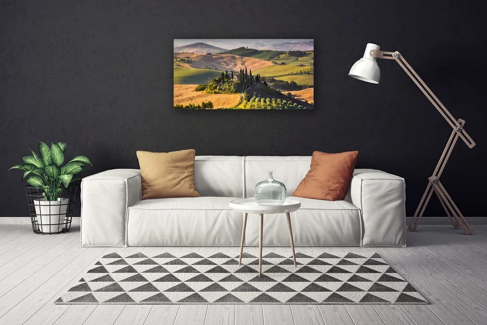 Obraz na plátně Krajina Vrchoviny Louky Domek 100x50 cm