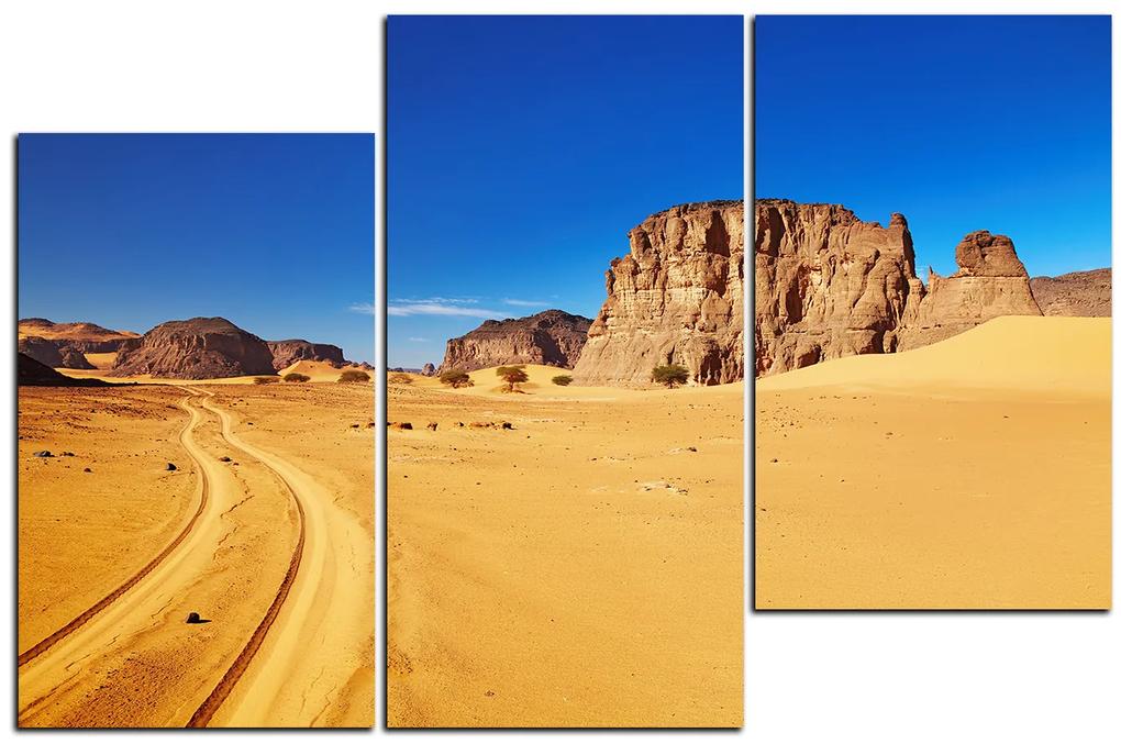 Obraz na plátně - Silnice v poušti 1129D (90x60 cm)
