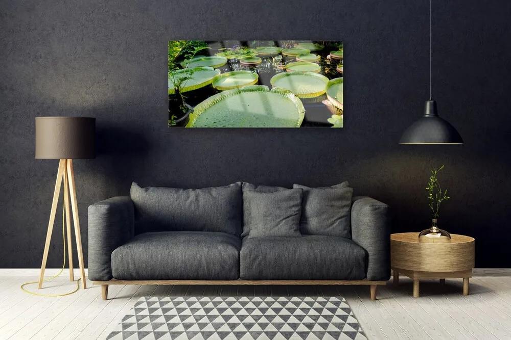 Obraz na skle Listy Jezero Příroda 120x60 cm