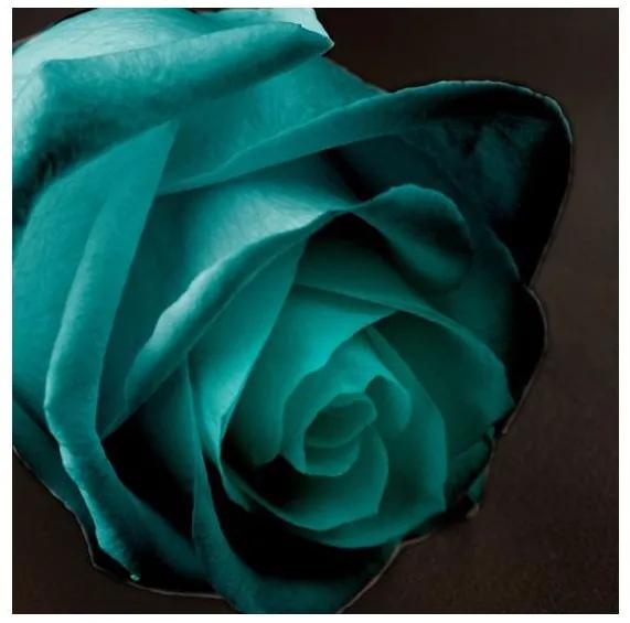 Obraz tyrkisové růže (50x50 cm), 40 dalších rozměrů