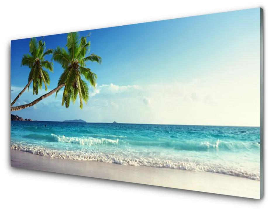 Obraz na skle Moře Pláž Palma Krajina 140x70 cm