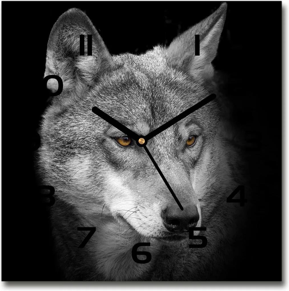 Skleněné nástěnné hodiny čtverec Vlk | BIANO