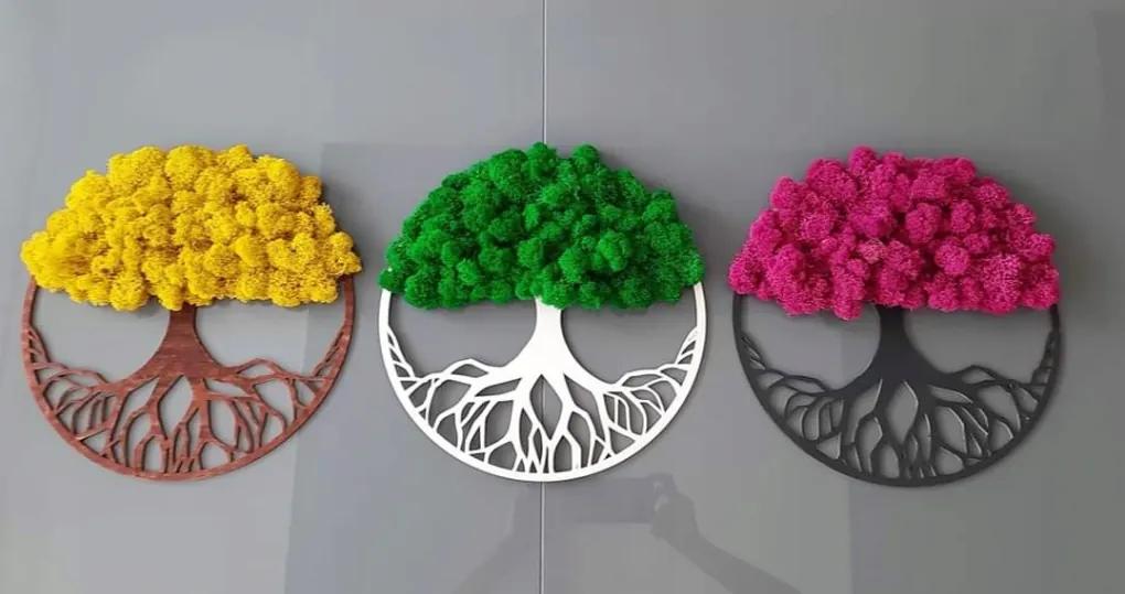 OznTo Živý obraz 3 stromy s mechem 30cm různé barvy Barva: Přírodní