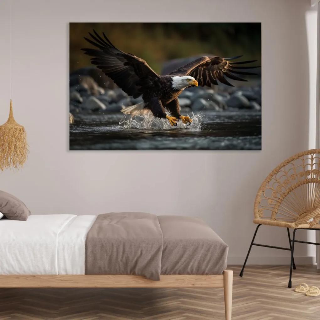 Obraz na plátně - Orel bělohlavý na lovu FeelHappy.cz Velikost obrazu: 120 x 80 cm