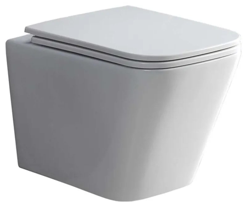 Mereo - Závěsné WC se sedátkem Slim, softclose, rimless, bílá VSD83S
