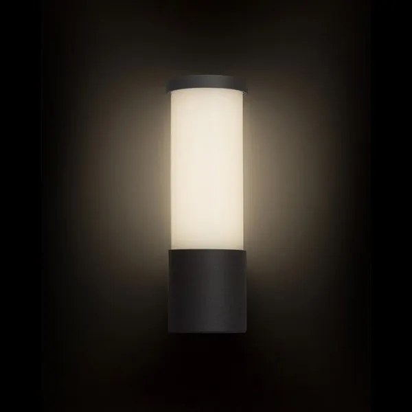 RED R12548 GARRET nástěnná antracitová 230V LED 15W IP65 3000K - RED - DESIGN RENDL