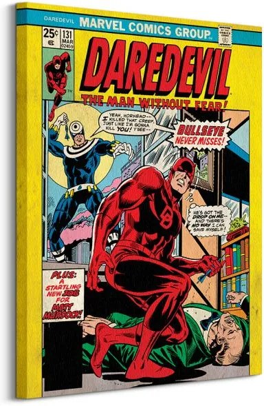 Obraz na plátně Marvel Comics (Daredevil Bullseye Never Misses) 60x80cm WDC99206