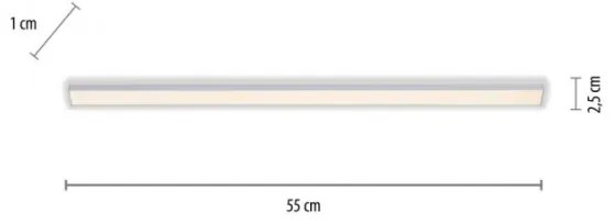 Paul Neuhaus 1125-21-A - LED Podlinkové svítidlo AMON LED/6W/12/230V