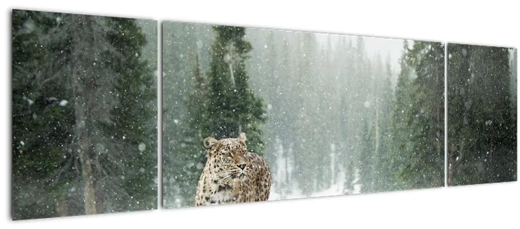 Obraz leoparda ve sněhu (170x50 cm)