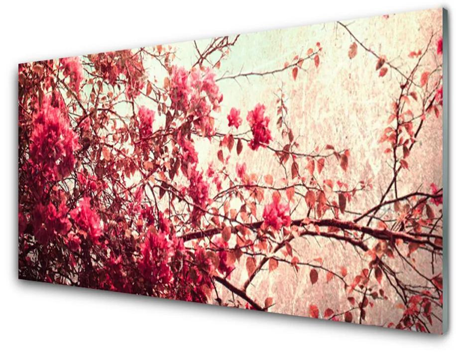 Plexisklo-obraz Větve Listy Příroda 100x50 cm