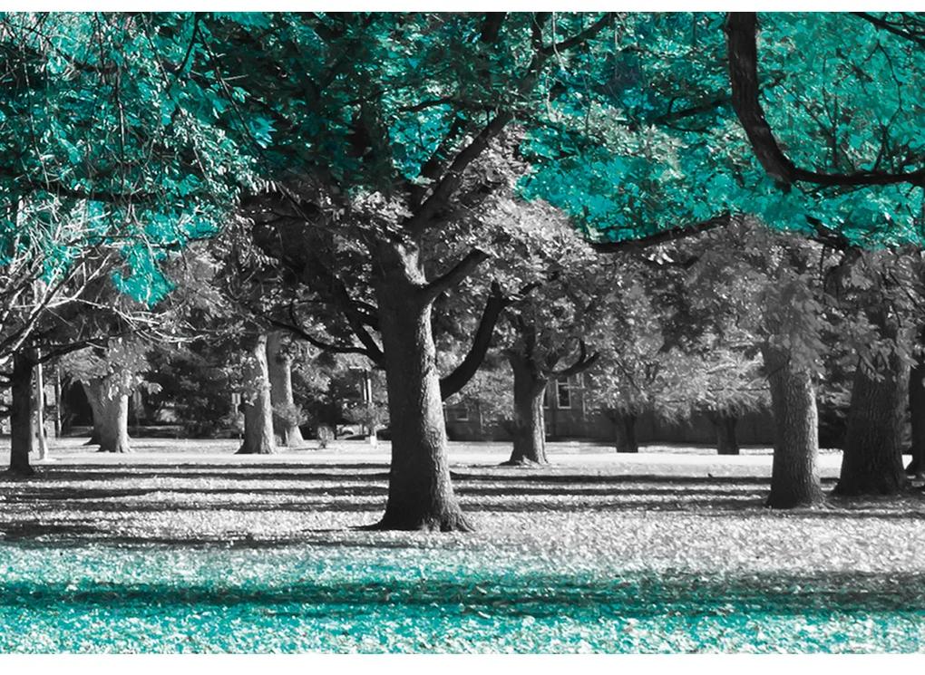 Malvis ® Obraz podzim v parku - zelený Velikost (šířka x výška): obdélník - 120x80 cm