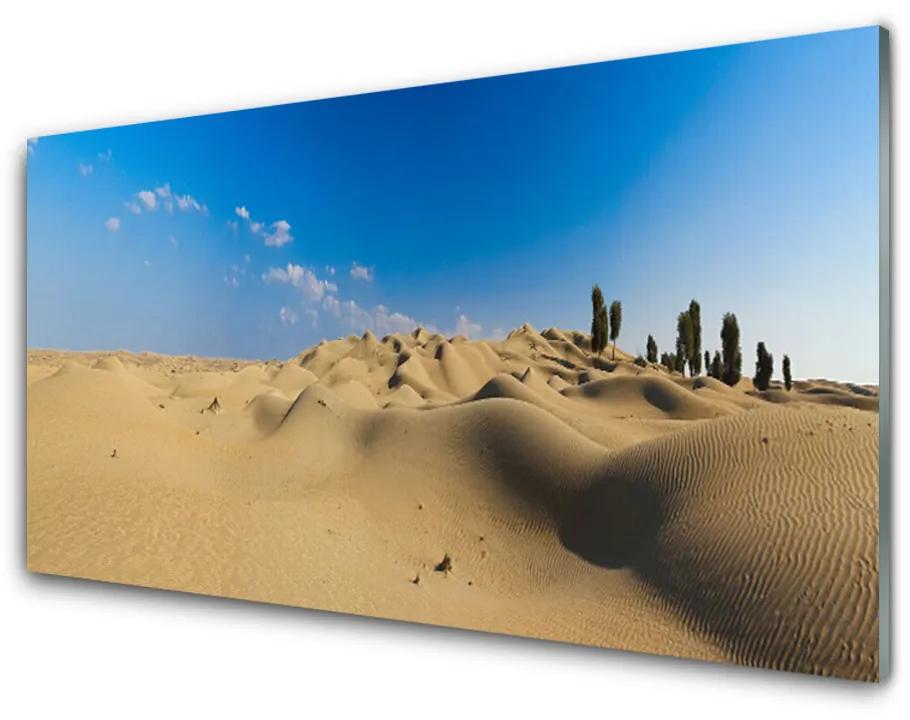 akrylový obraz Poušť Krajina 140x70 cm