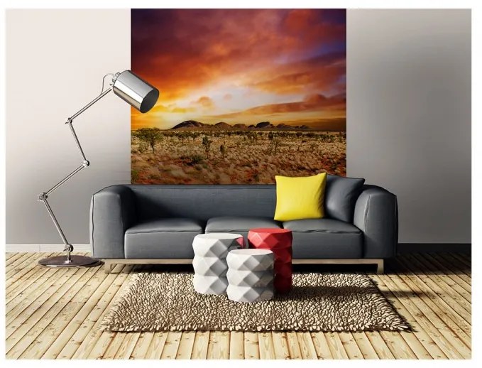 DIMEX | Vliesová fototapeta na zeď Austrálie MS-3-0050 | 225 x 250 cm | oranžová, žlutá, hnědá, zelená