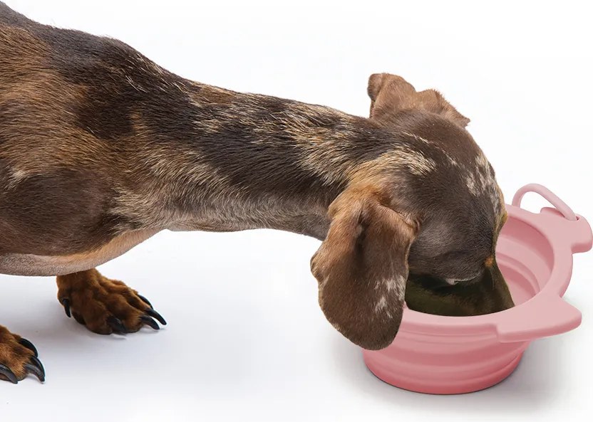 United Pets Cestovní miska skládací MUZZLE pro psy 500 ml růžová