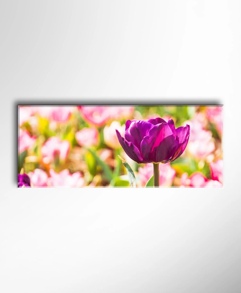 Malvis ® Obraz Pestrý tulipán ROZMĚR (šířka x výška): čtyřdílný čtverec 80x80 cm