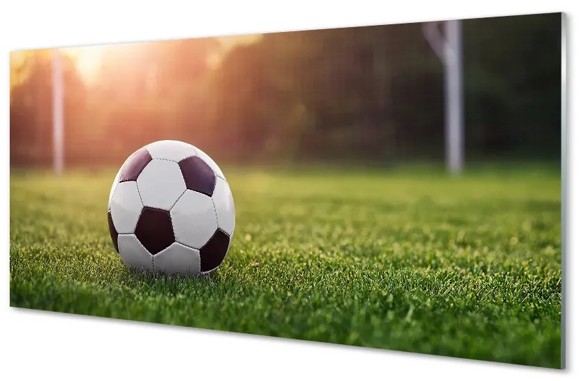 Obraz na skle Fotbal tráva gateway 120x60 cm