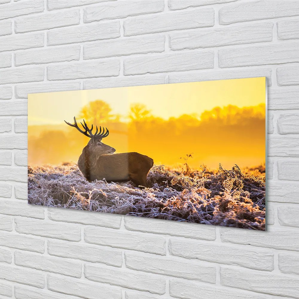 akrylový obraz Jelen zimní slunce 100x50 cm