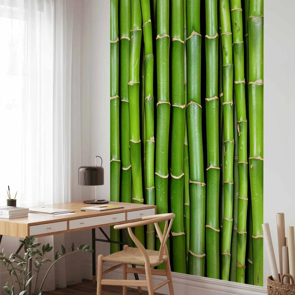 Fototapeta Bamboo wall