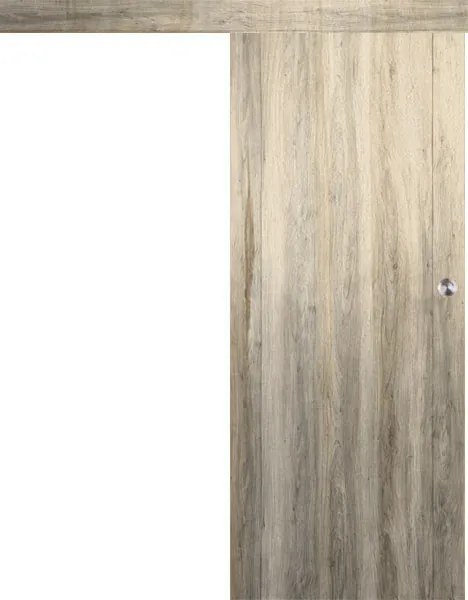 posuvné interiérové dveře na stěnu vasco doors LEON plné Průchozí rozměr: 70 x 197 cm, Orientace dveří: Levé dveře, Dekor: Dub Aljaška