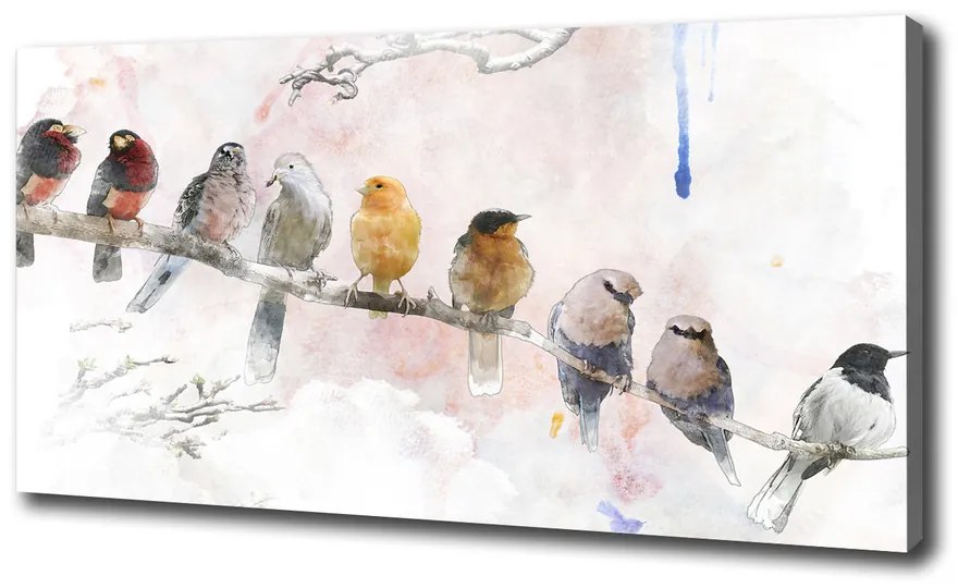 Wallmuralia Foto obraz na plátně Ptáci na větvi 100x50 cm