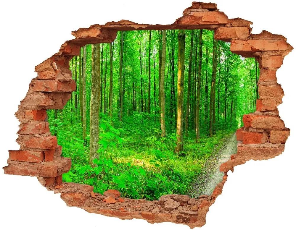Wallmuralia Samolepící díra nálepka Stromy v lese 90x70 cm