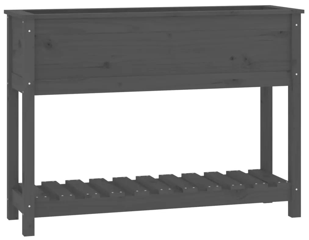 vidaXL Truhlík s policí šedý 111,5 x 34,5 x 81 cm masivní borové dřevo