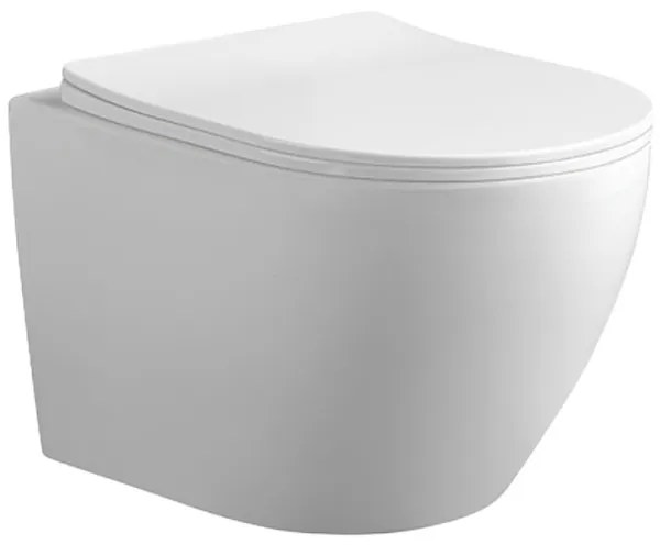 BPS-koupelny Závěsná WC mísa se SoftClose sedátkem HYD-4708, bílá