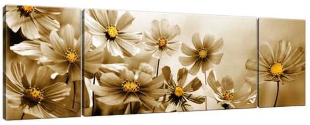 Tištěný obraz Květnatá krása 170x50cm 1484A_3G