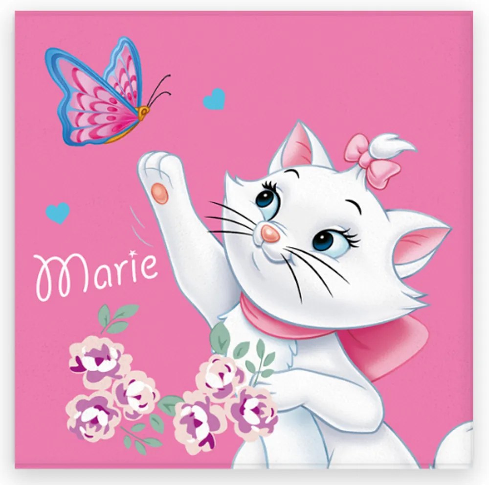 Aptex DĚTSKÝ FROTÉ RUČNÍK MARIE 30X30 CM VZOROVANÝ
