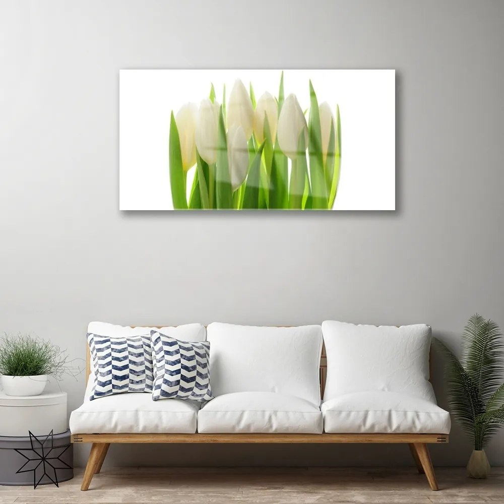 Obraz na skle Tulipány Rostlina Příroda 120x60 cm