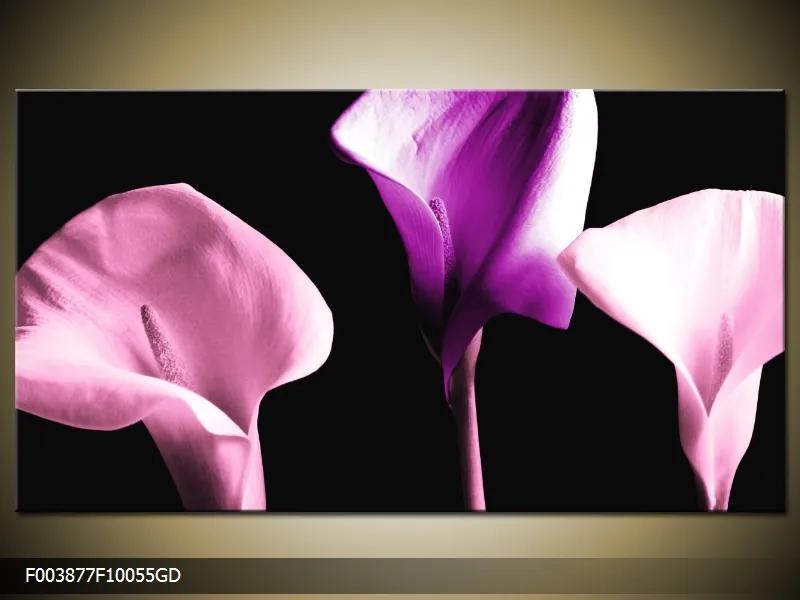 Obraz růžově a fialově zbarvených květin  (), 40 dalších rozměrů
