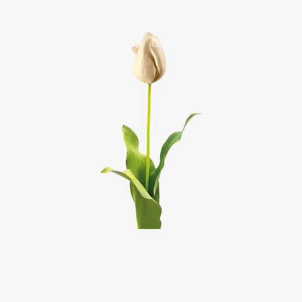 Kelly Hoppen Dekorační tulipán bílý - set 2