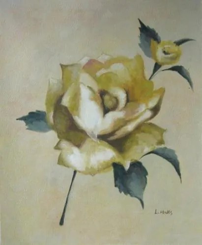 Bílá růže - 90 x 60 cm