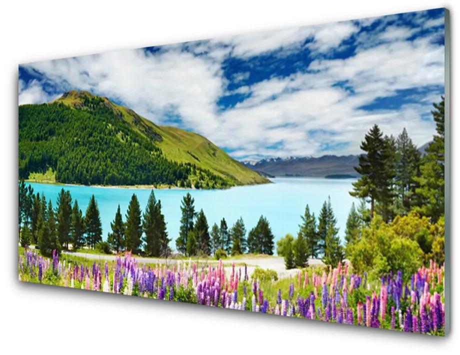akrylový obraz Hora Les Jezero Krajina 120x60 cm
