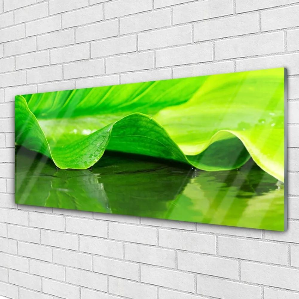 akrylový obraz Liść Roślina Natura 125x50 cm