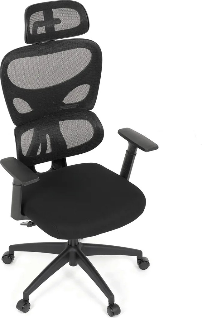 Ergonomická kancelářská židle LEXON - černá síťovina