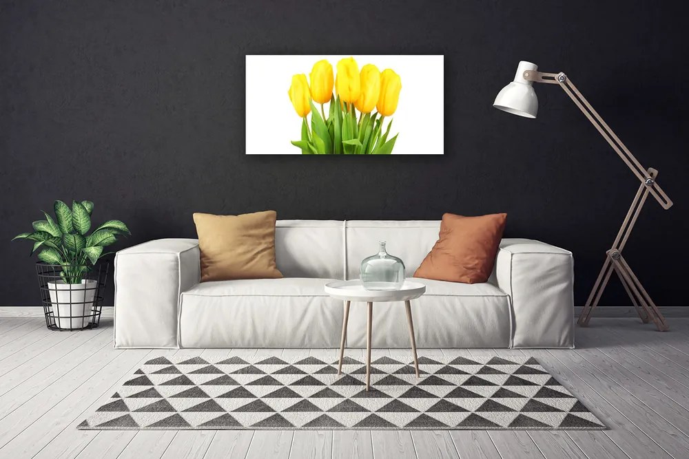 Obraz na plátně Tulipány Květiny Rostlina 100x50 cm