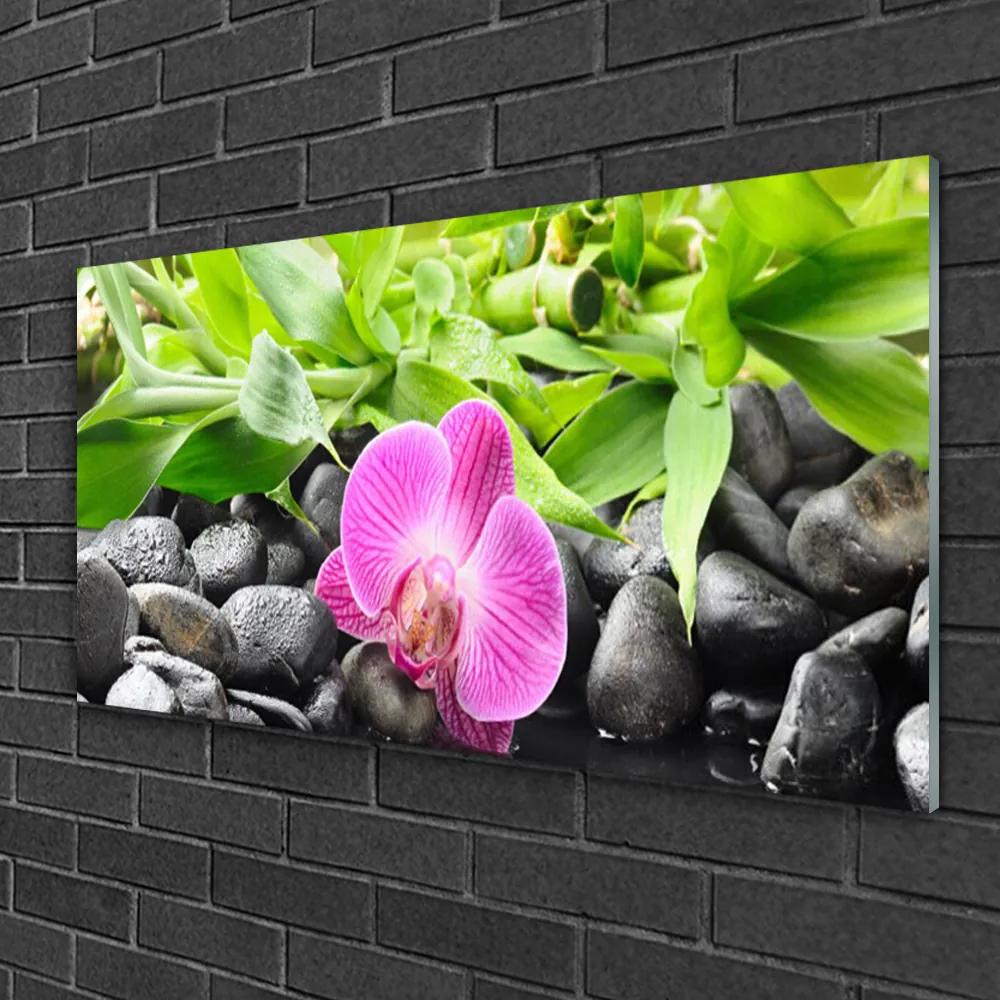Obraz na skle Květiny Orchidej Kameny Zen 125x50 cm