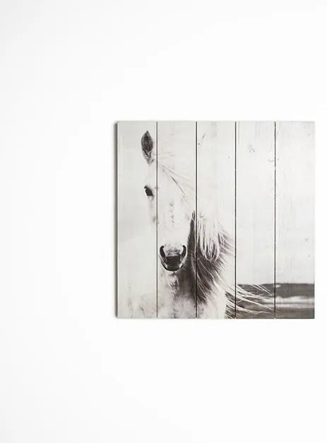 Dřevotisk 42-245, Horse Print On Wood, Wall Art, Graham Brown