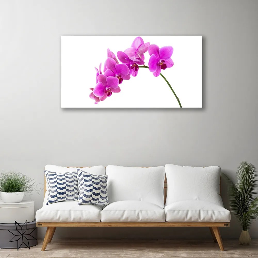 Obraz na plátně Vstavač Květ Orchidej 120x60 cm