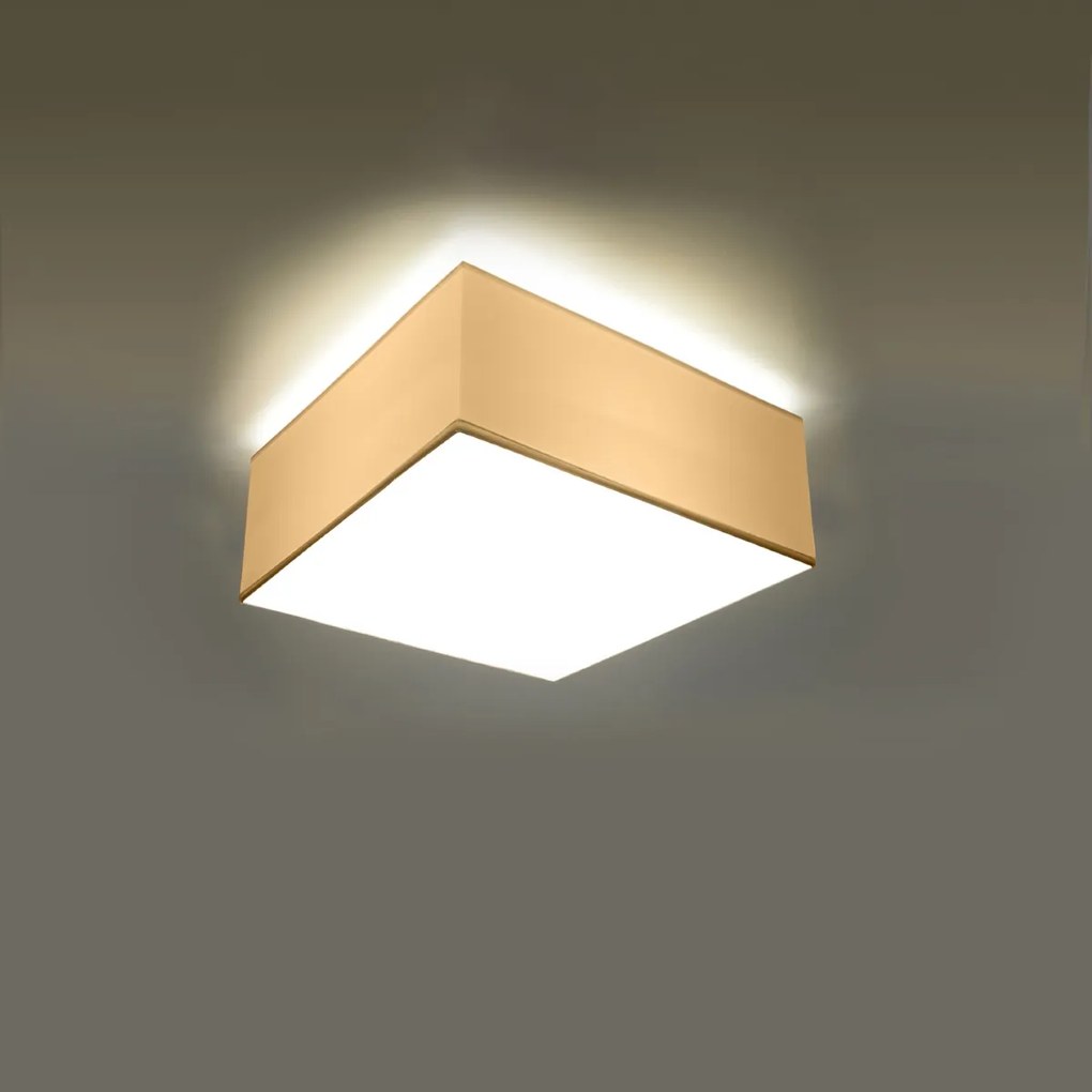 Stropní svítidlo Horus, 1x bílé plastové stínítko, (bílý plast), (25 cm)