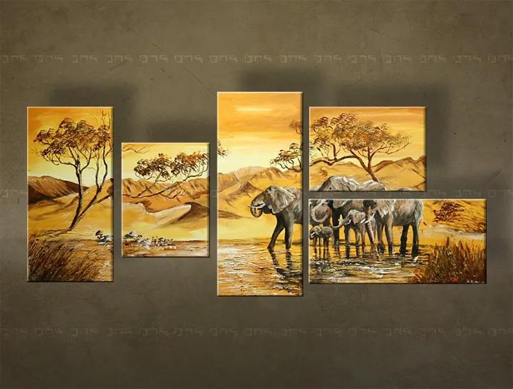 Ručně malovaný obraz na zeď AFRIKA FB291E5