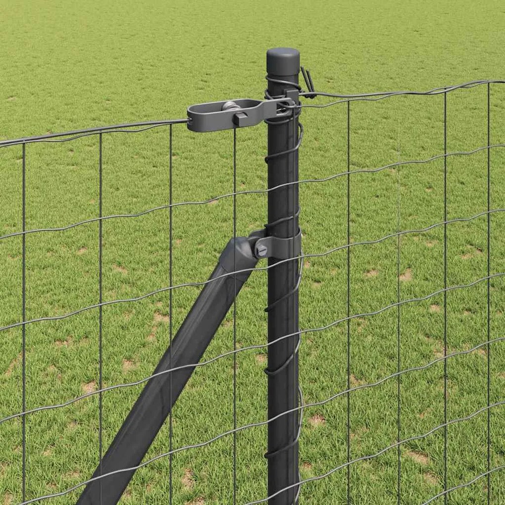 Evropský plot se hroty 10 x 1,6 m Ocel potažená PVC Šedá 3350708