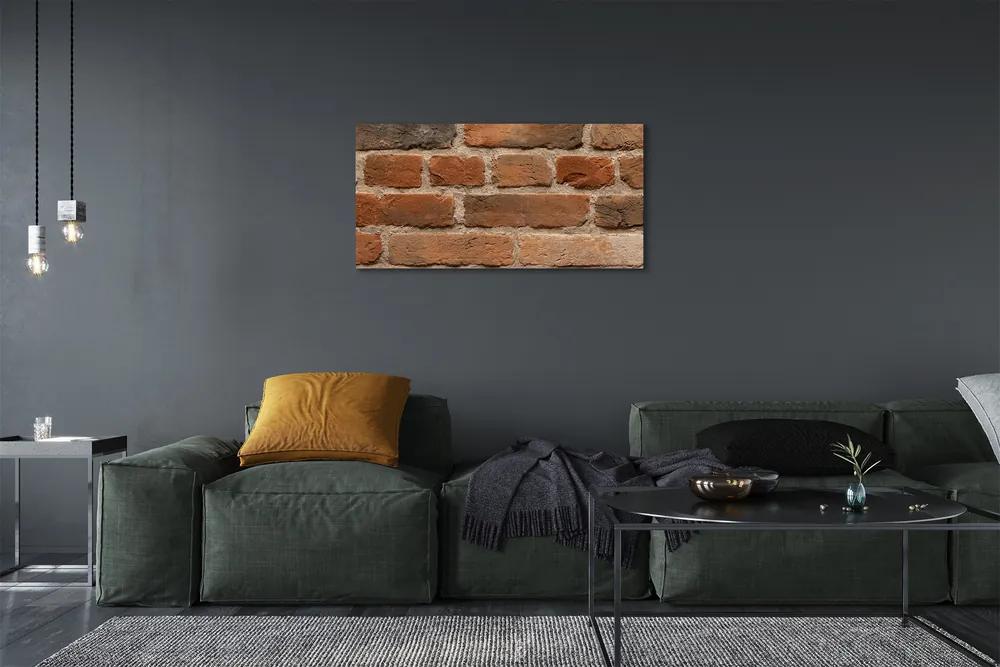Obrazy na plátně Cihlová zeď kamenná 100x50 cm