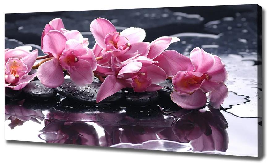 Wallmuralia Foto obraz na plátně do obýváku Růžová orchidej 120x60 cm
